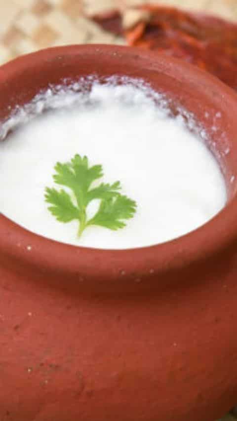 5 health benefits of storing curd in 'matki'