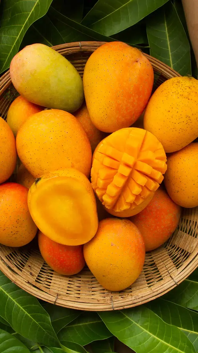 ये हैं देश के 5 सबसे महंगे आम, खरीदने के लिए करनी पड़ती है अच्छी खासी ...