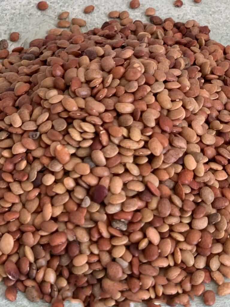 5 Health Benefits of Kulthi Dal (Horse Gram)