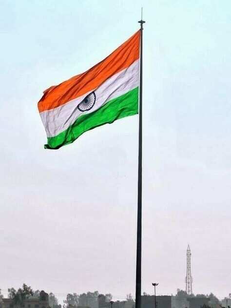 Significance of the Indian Flag: What Each Colour and Symbol Mean