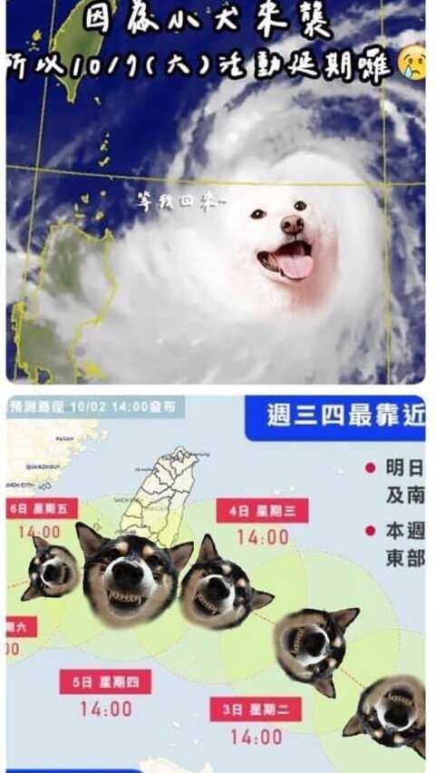 Memes About Typhoon