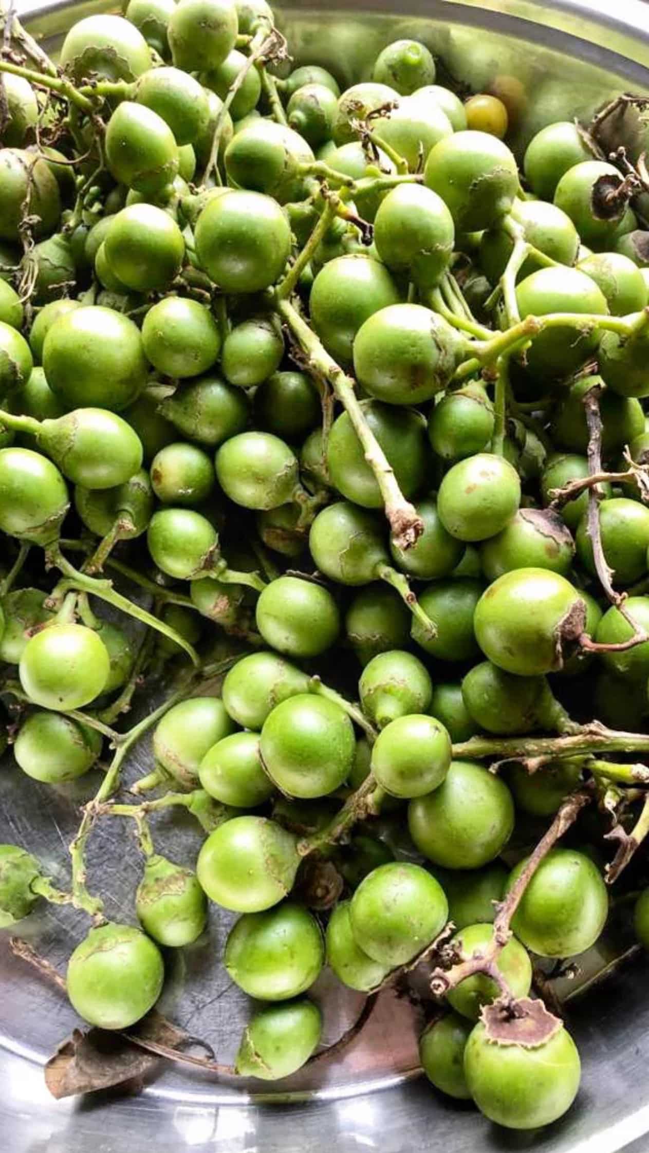 Lasoda (Glue Berry): This Small, Rare Fruit Is A Powerhouse Of Nutrients