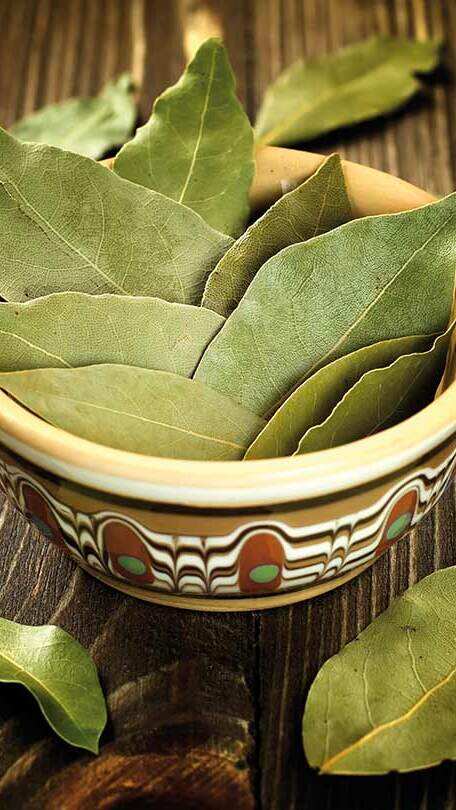 5 Health Benefits of Bay Leaves (Tej Patta)