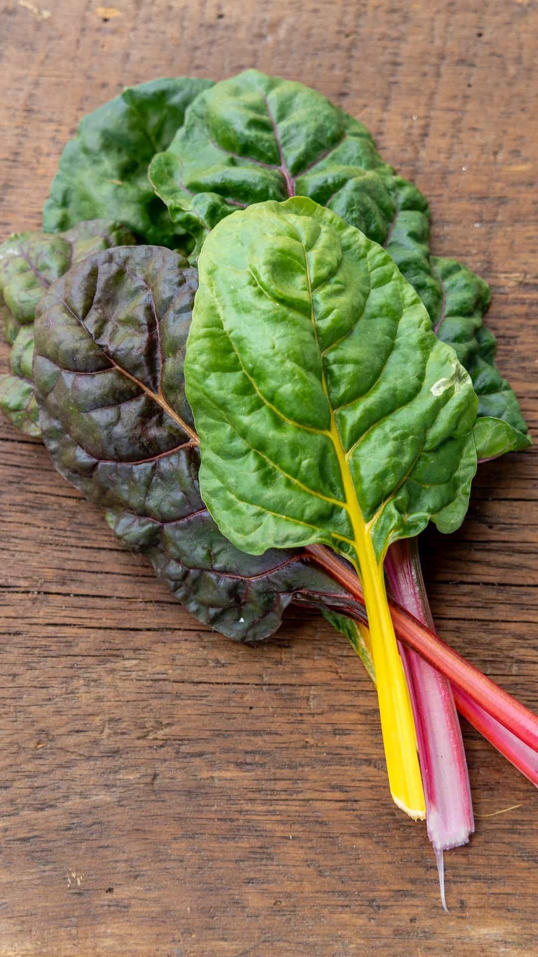 What Are The Health Benefits Of Juicing Swiss Chard at Harry Boykin blog