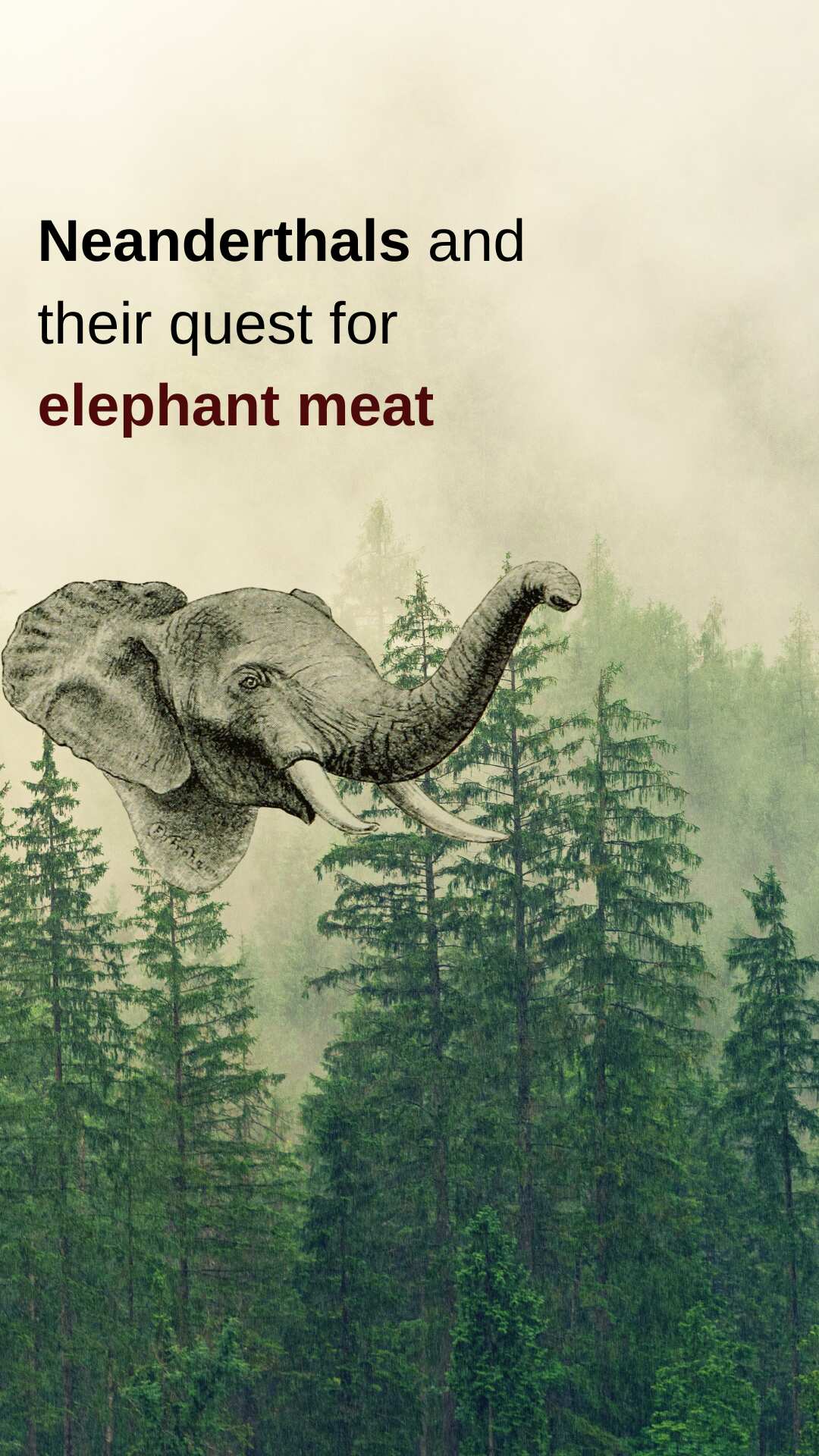 Neanderthals and their quest for elephant meat