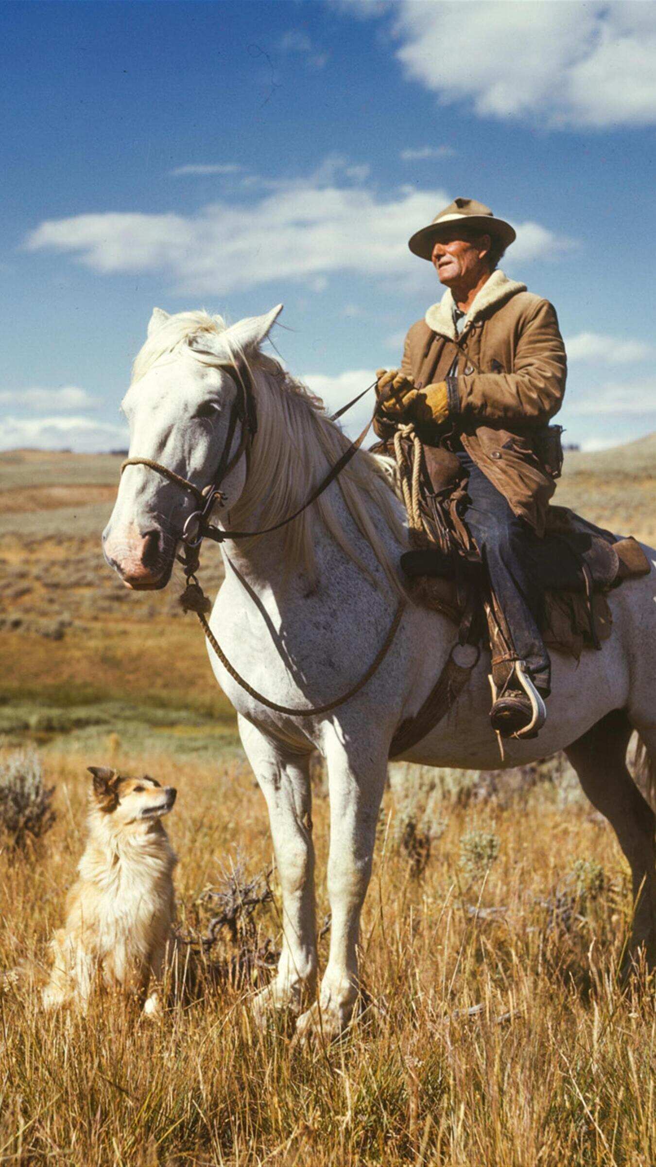 10 Best Animal Movies of All Time