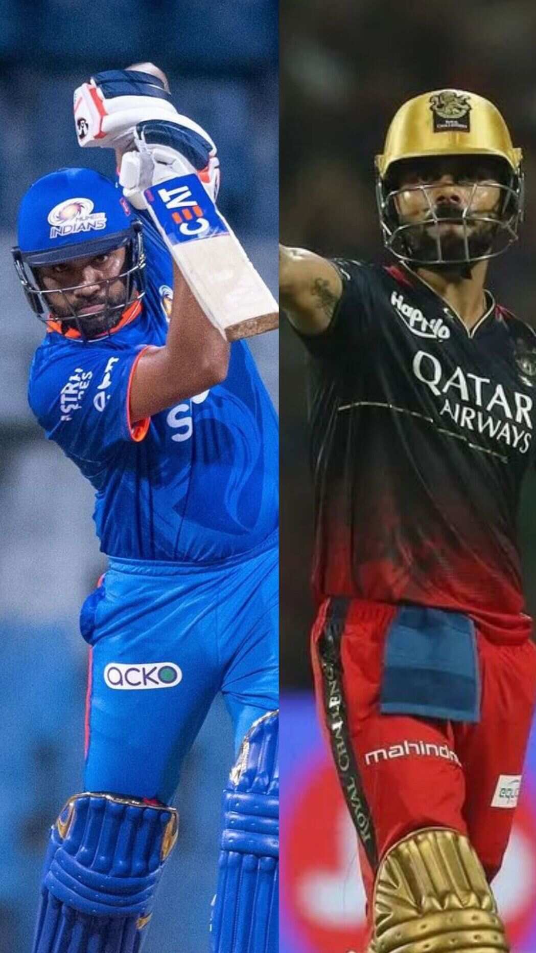 Top 5 earners of IPL