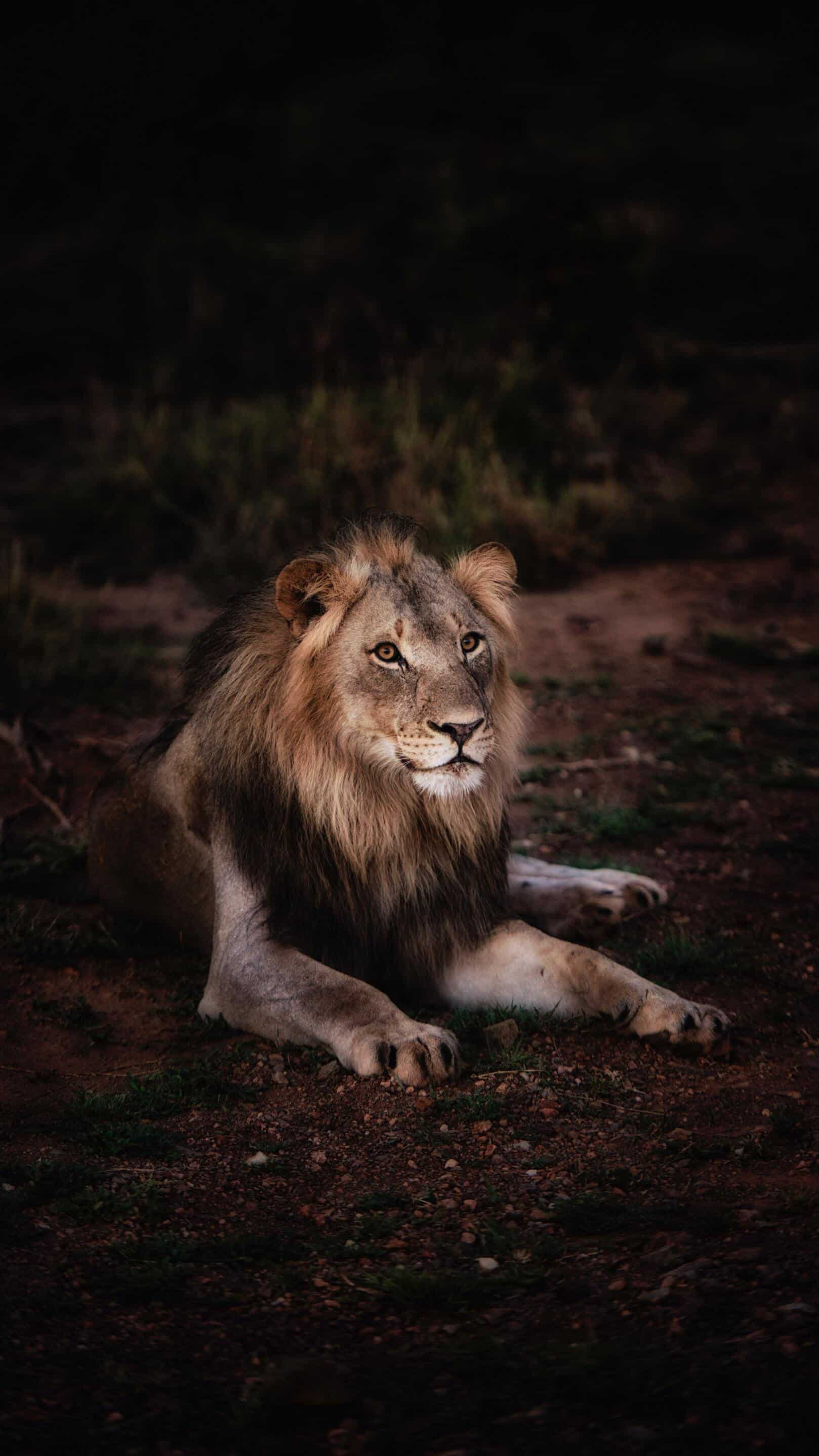 10 Best Places for Safari