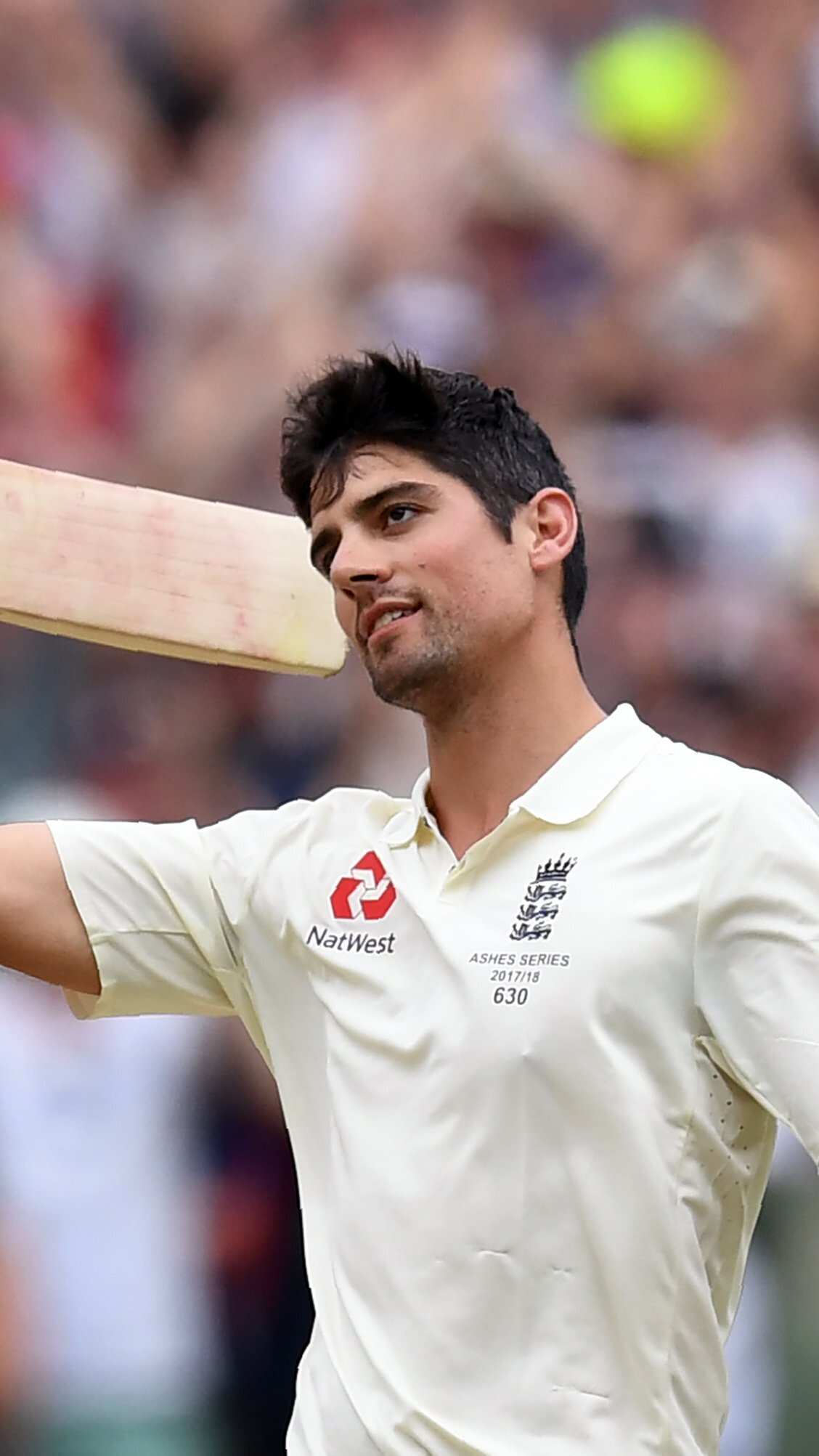 Most Runs in Single Ashes Series