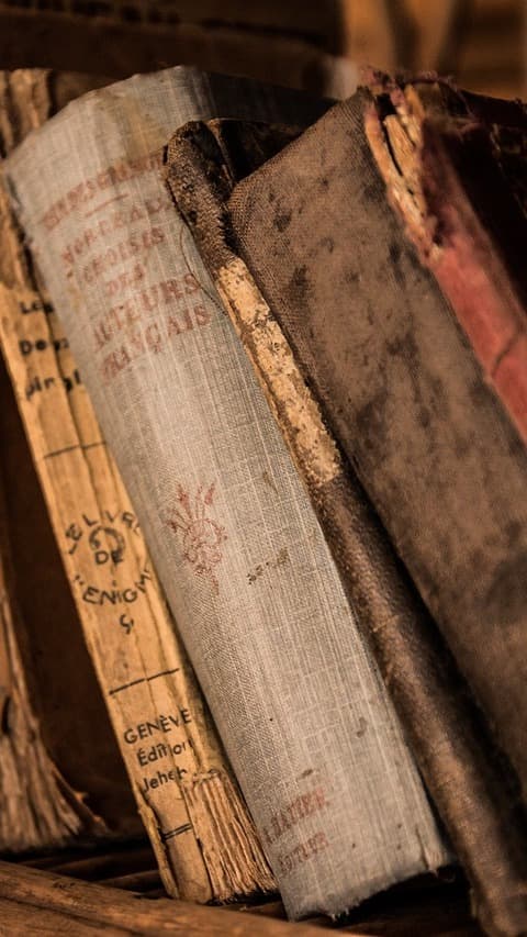 7 Must-Read Books on Afterlife