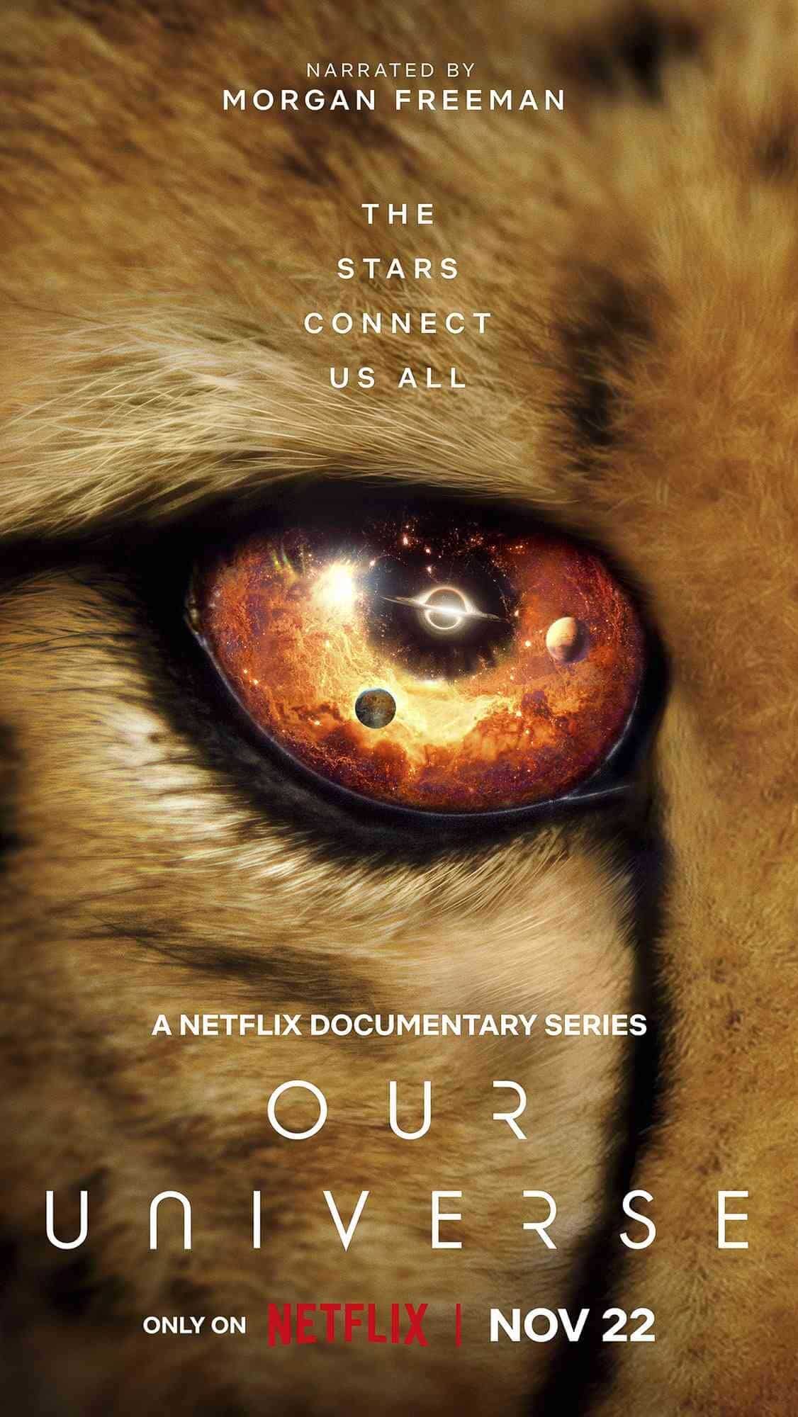 Black Hole Documentaries 2022
