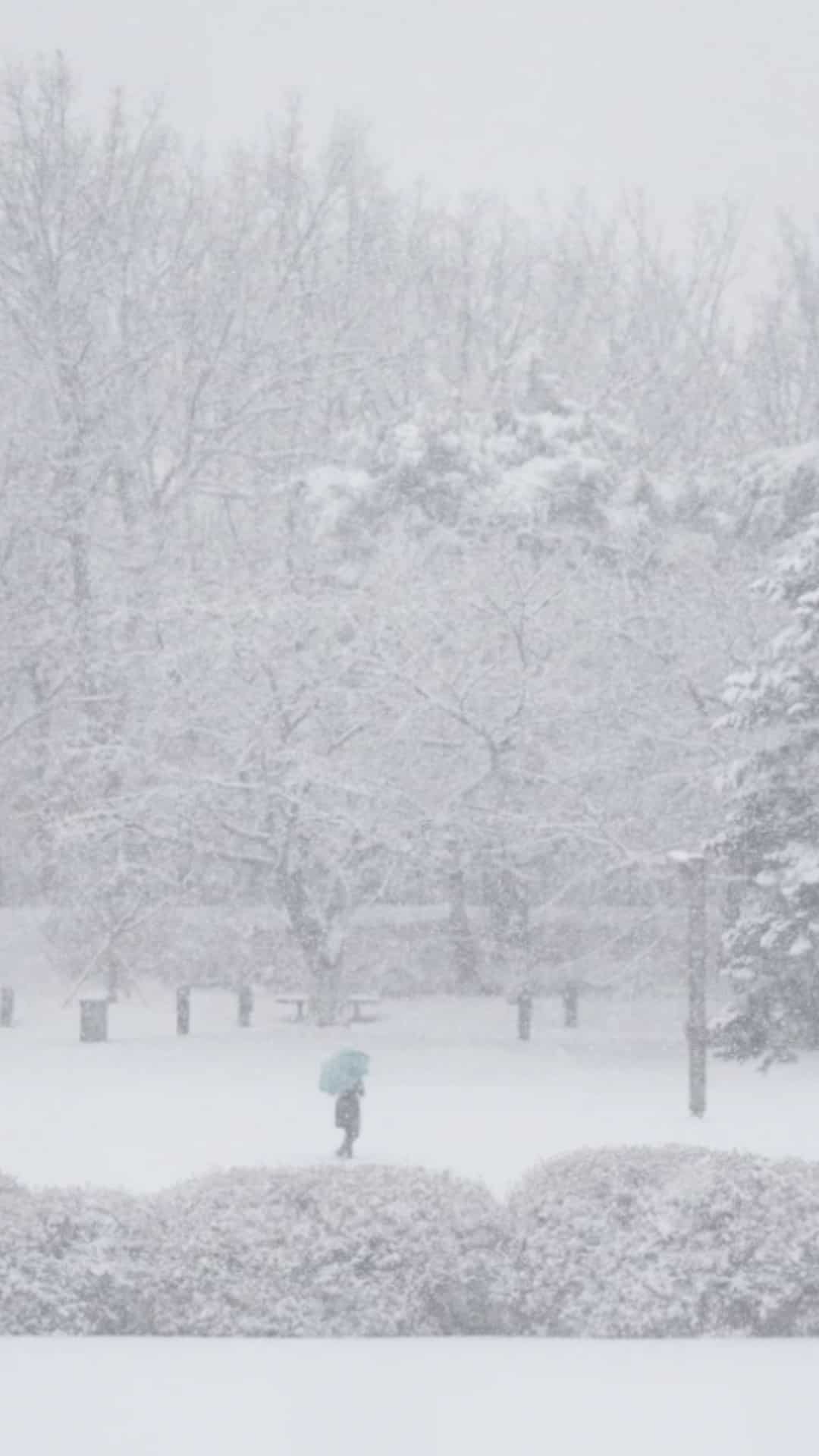 South Korea’s Seoul Records Snowiest December Day in Over 40 Years