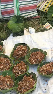 Odisha’s Unique Red Ant Chutney: All You Need to Know