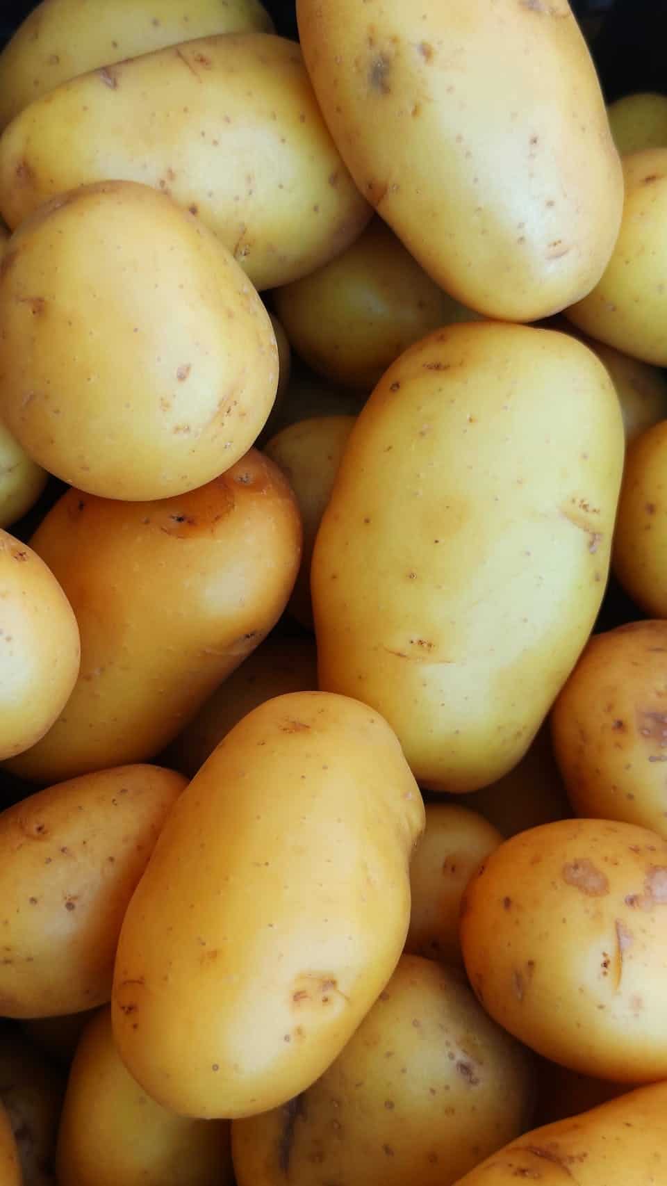 7 Ways To Turn Simple Mashed Potatoes Into A Tasty Meal