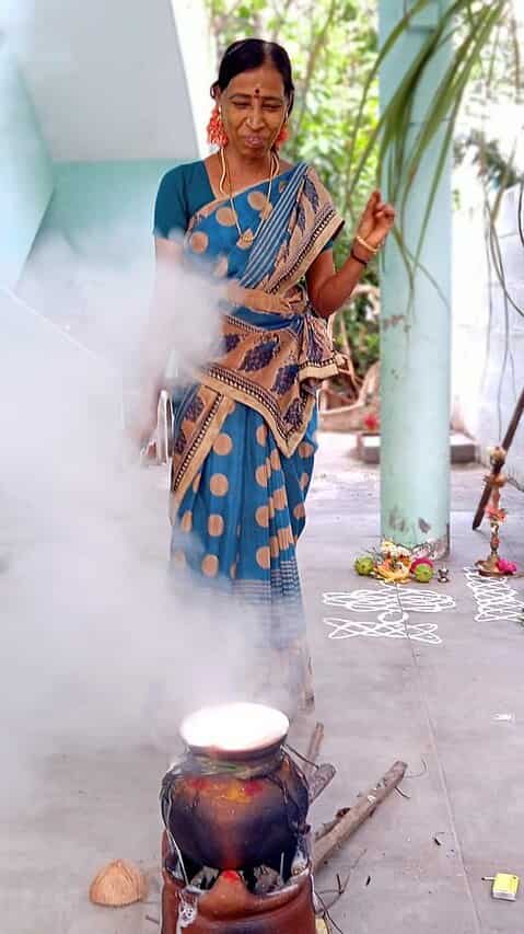 Pongal: What is the Significance of This Festival in South India?