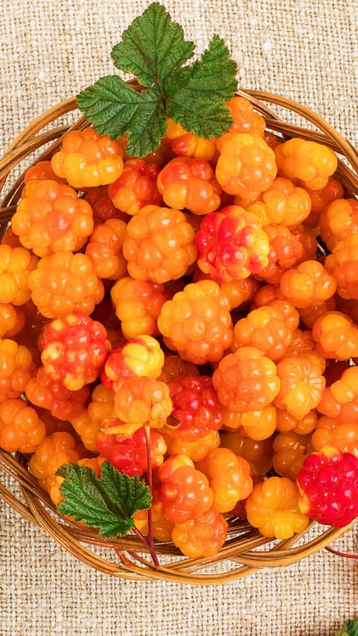 5 Health Benefits of Cloudberries