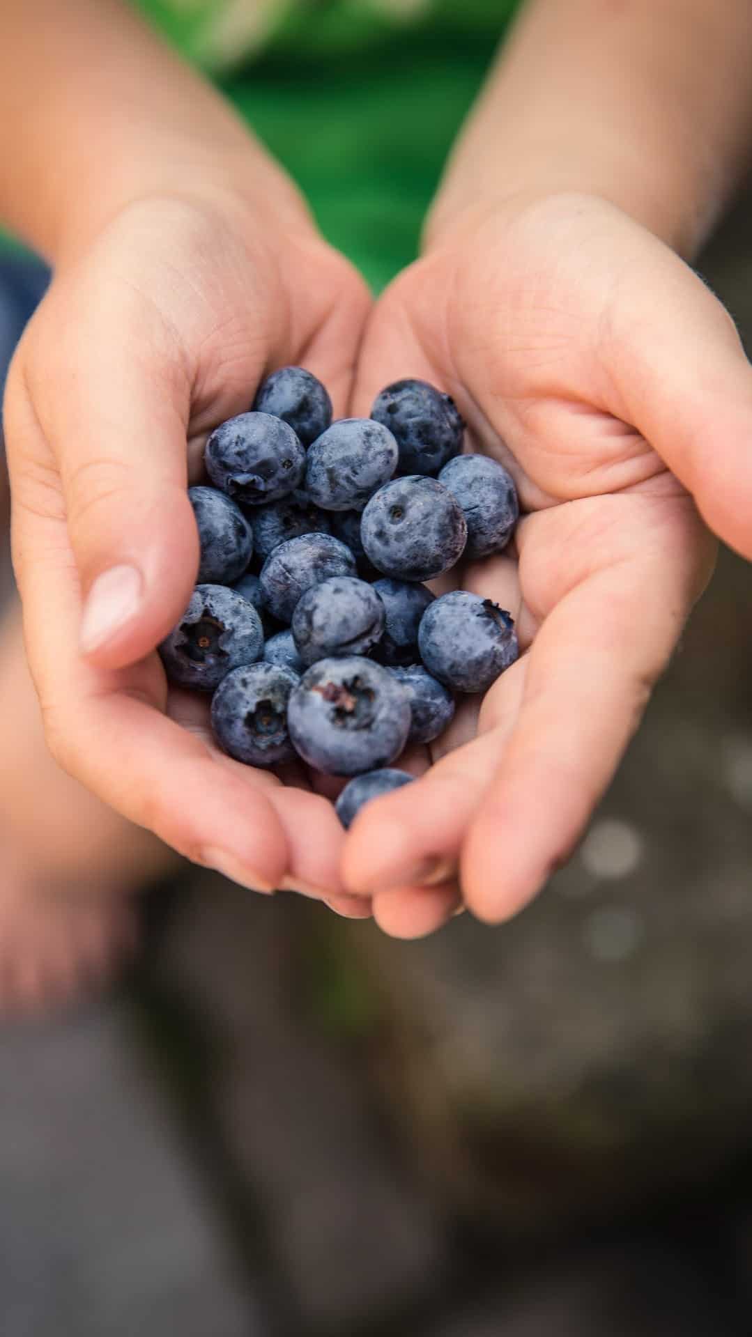 6 Amazing Skin Benefits of Eating Blueberries