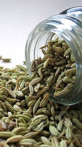 5 Benefits of Chewing Fennel Seeds (Saunf) After Meals - ChampStory