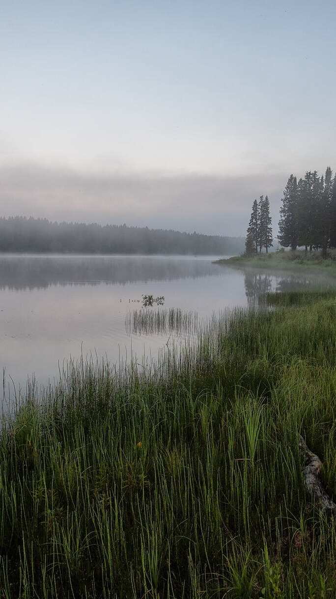 World Wetlands Day: 5 Must-Visit Wetlands in India