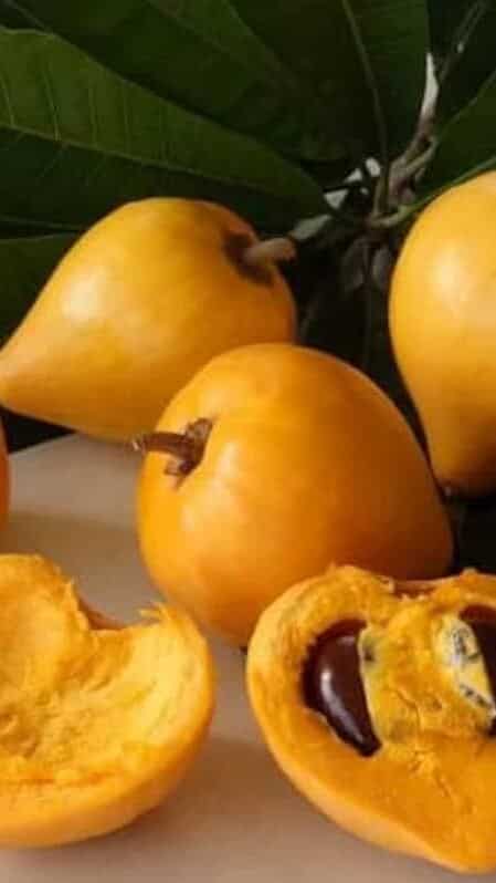 5 Health Benefits of Canistel