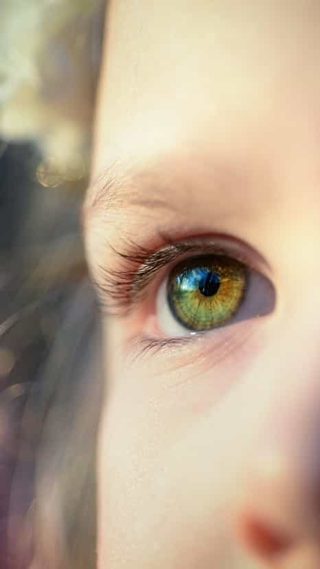 6 Must-Have Foods For Healthy Eyes