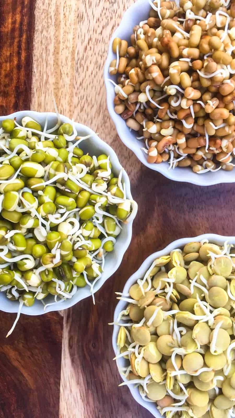 5 Ways to Make Sprouts at Home