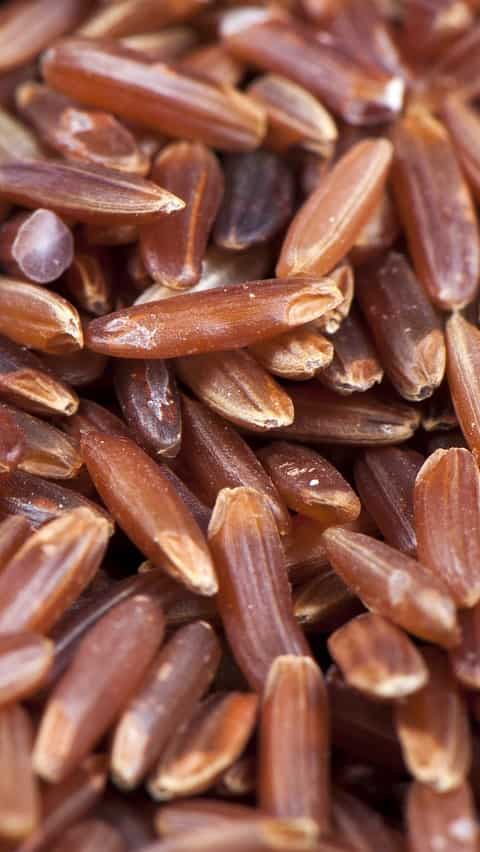 8 Health Benefits Of Red Rice