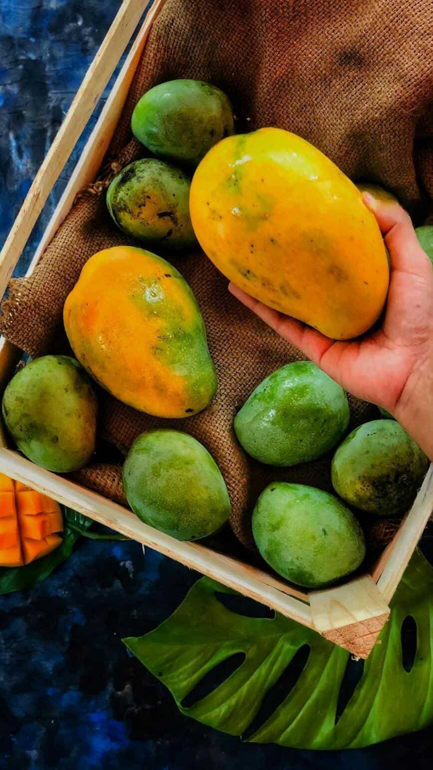 6 Best Mango Varieties In India