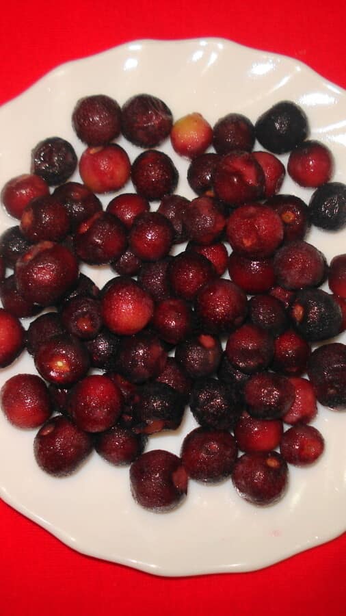 5 Health Benefits of Falsa Fruit (Grewia Asiatica)