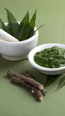 5 Powerful Herbs for Blood Purification and Detoxification