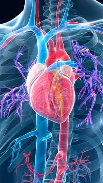 5 Signs of Clogged Arteries You May Be Ignoring