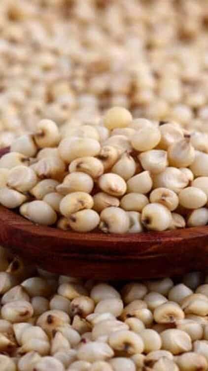 5 Jowar Dishes Ideal for Weight Loss