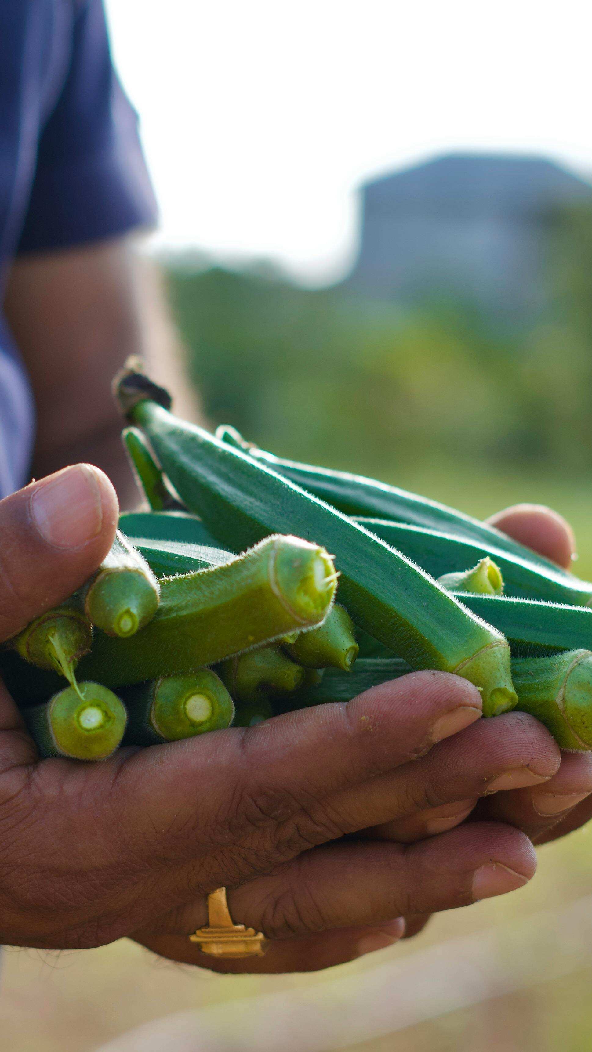 15-Minute Easy Spicy Okra Recipe