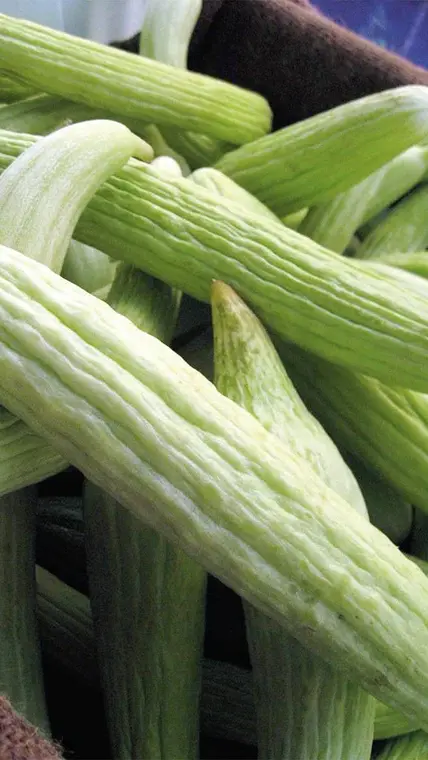 Kheera Vs Kakdi: Which Is Better For Summer?