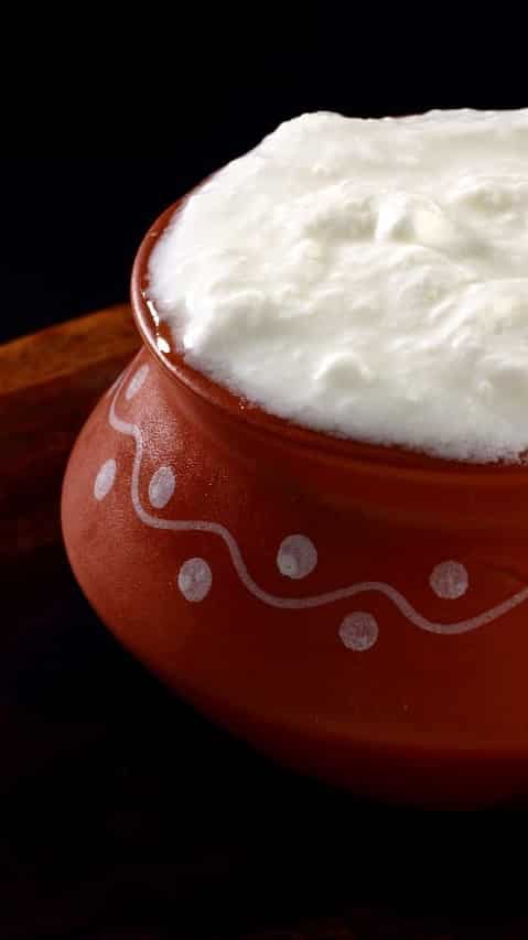 What Is The Right Time To Eat Curd?