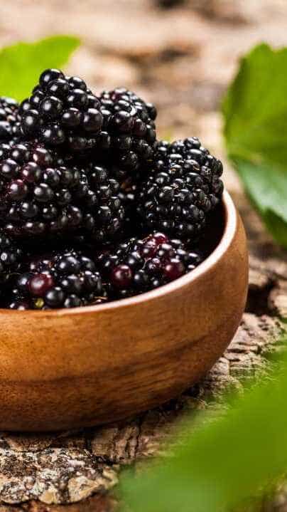 5 Health Benefits of Blackberries