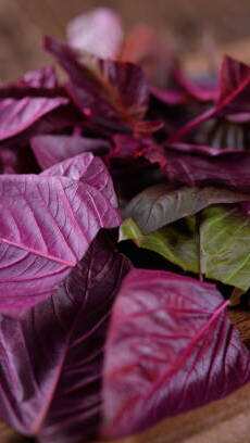6 Benefits of Eating Red Spinach
