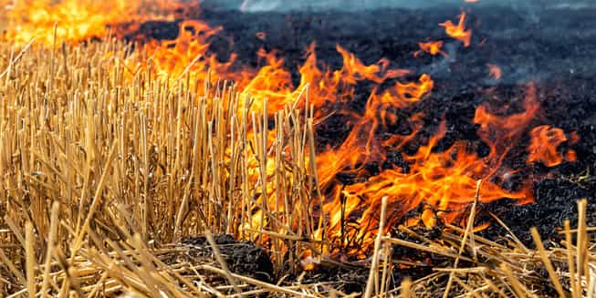 5 Sustainable Alternatives To Stubble Burning