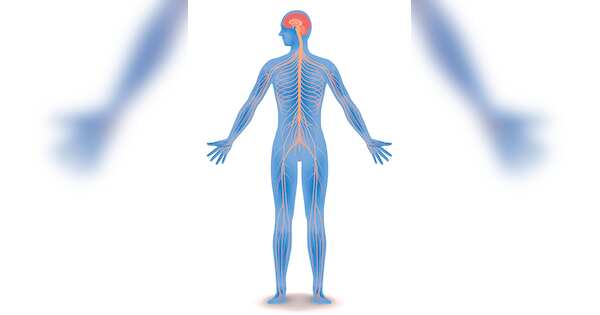 10 Best Ways to Improve Your Reflexes