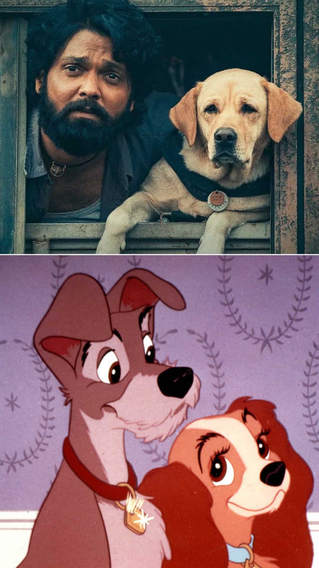 7 Best Movies For Dog Lovers