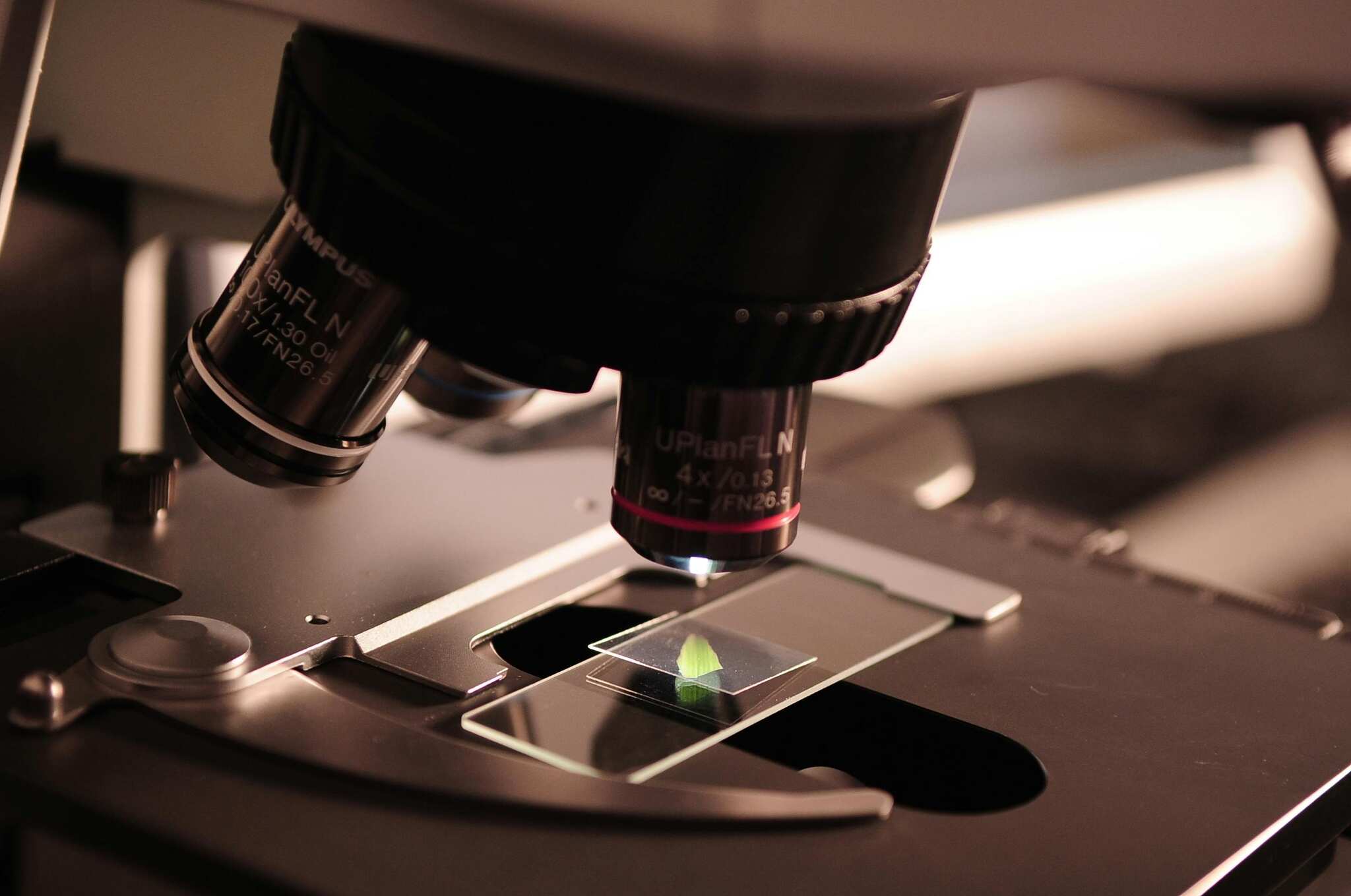 National Science Day 2024: History, Significance And Theme